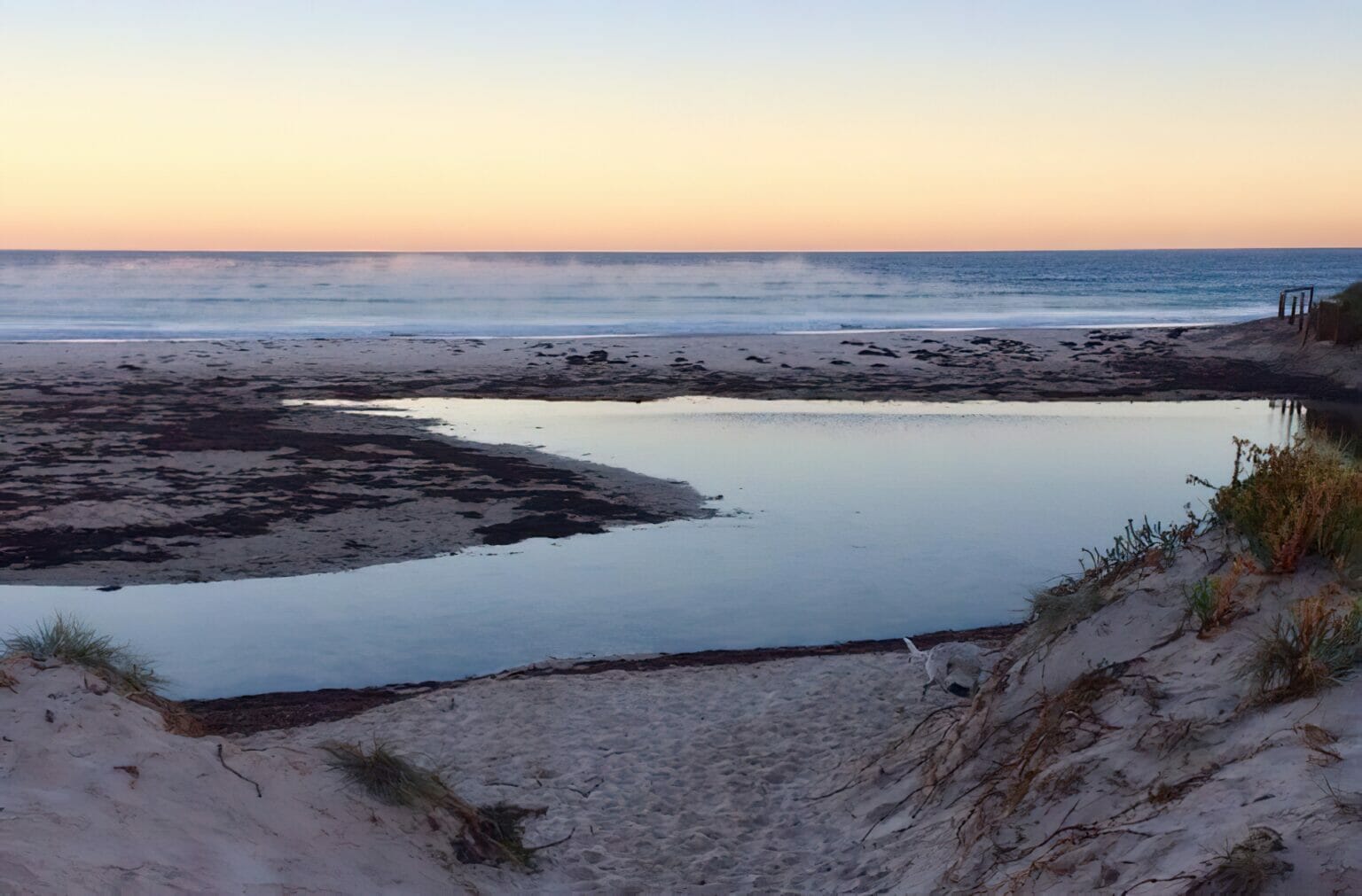 Port Willunga coastline | Friends of Port Willunga Inc.